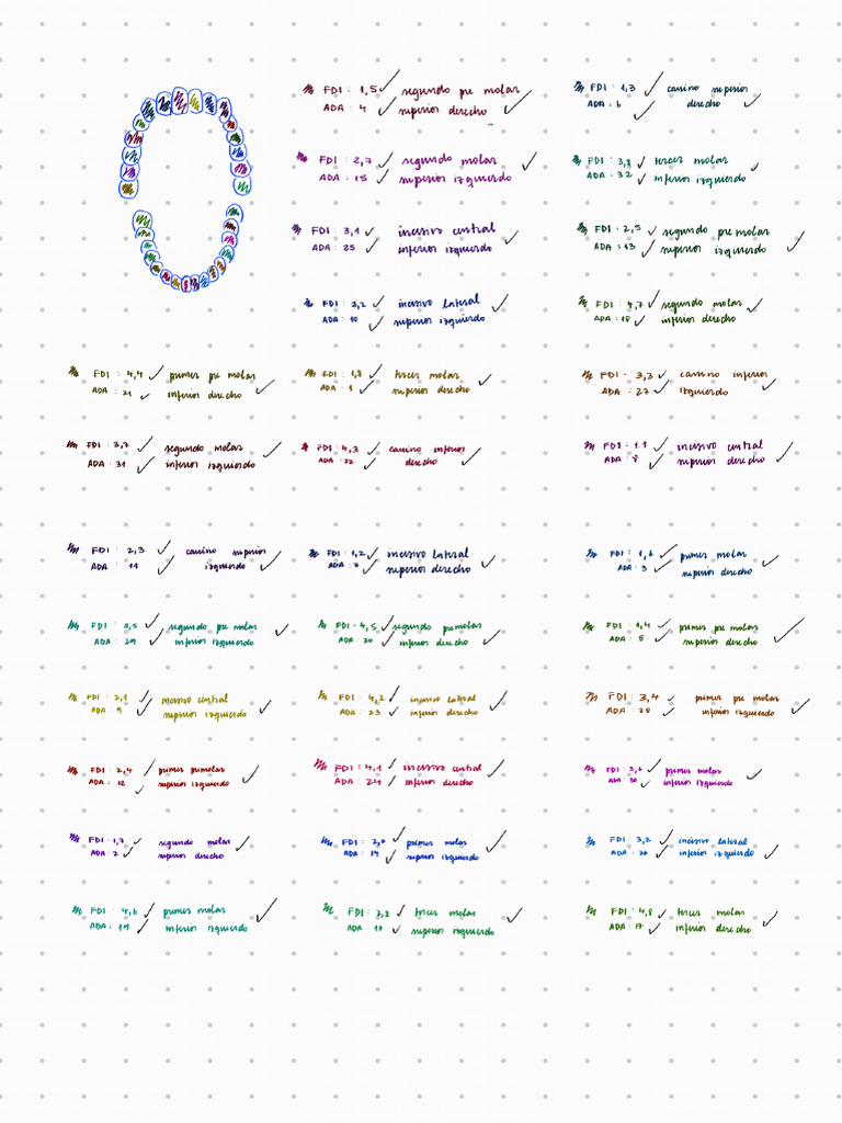 Nomenclatura Dental FDI y ADA Chilena | PDF