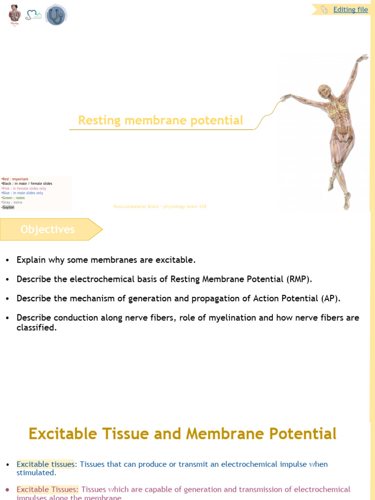 Excitable Tissues and Membrane Potential | PDF | Membrane Potential ...