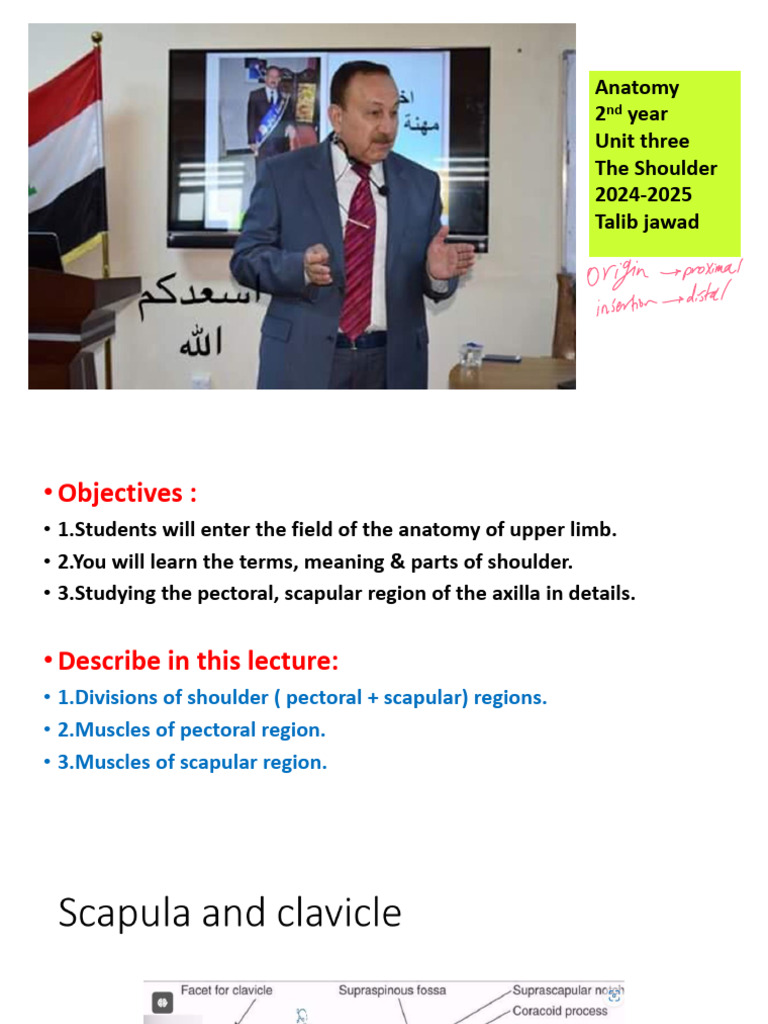 Shoulder Region Talib Jawad | PDF | Shoulder | Arm