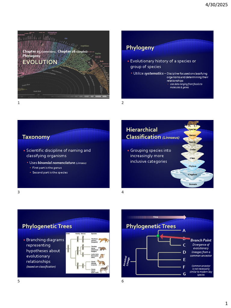 AP Bio 02 Evolution - 11 Phylogeny | PDF | Phylogenetic Tree ...
