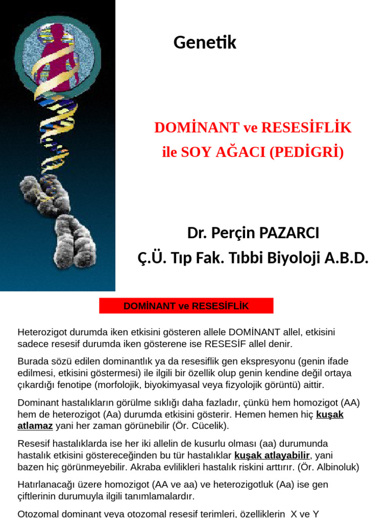 Ders-7 Dominant Ve Resesiflik-Soy Ağacı (SYO-Ebelik) | PDF