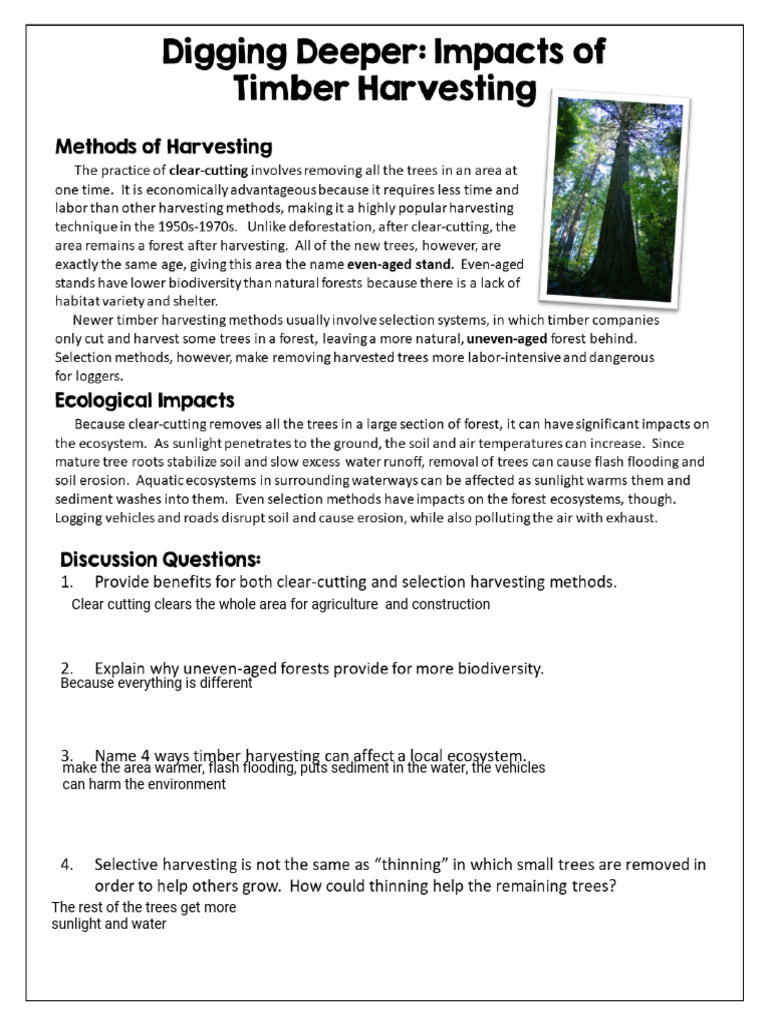 Digging Deeper- Impacts of Timber Harvesting | PDF