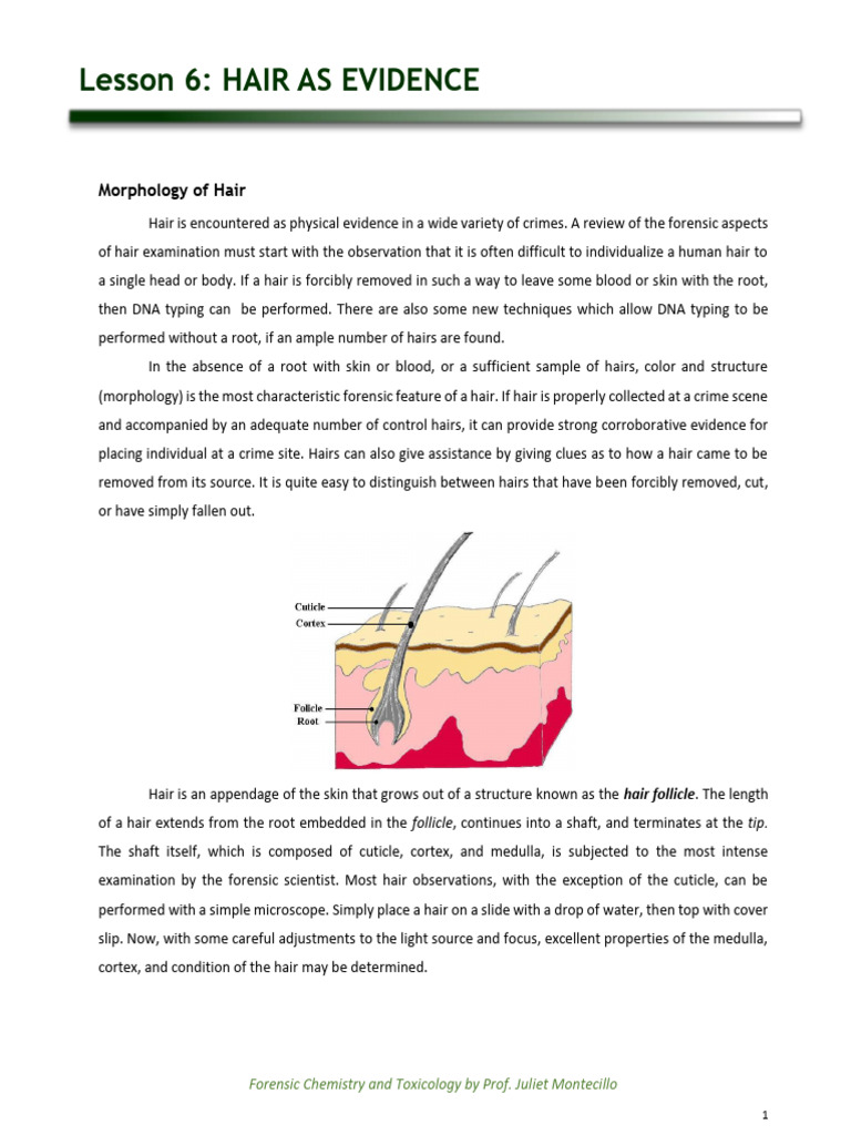 Forensic Analysis of Hair Evidence | PDF | Hair | Forensic Science