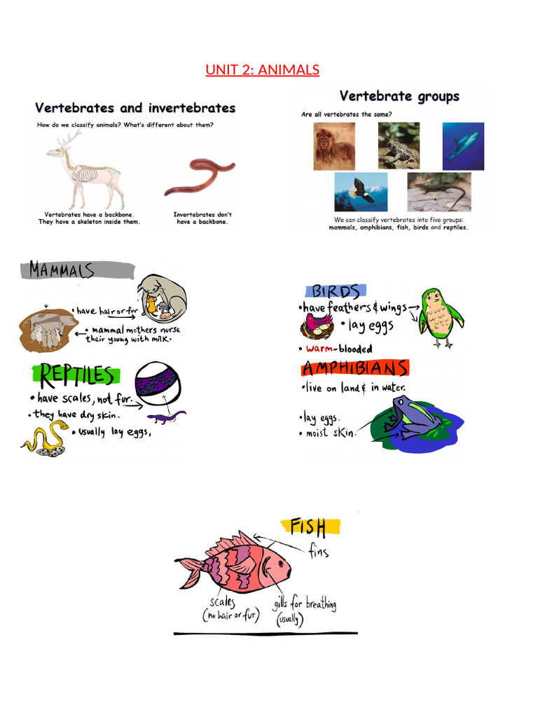 Natural Science Unit 2 | PDF
