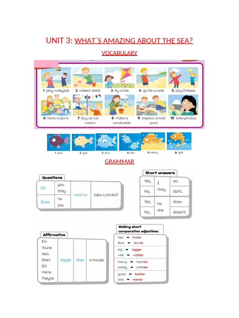 Amazing Sea Vocabulary and Grammar | PDF