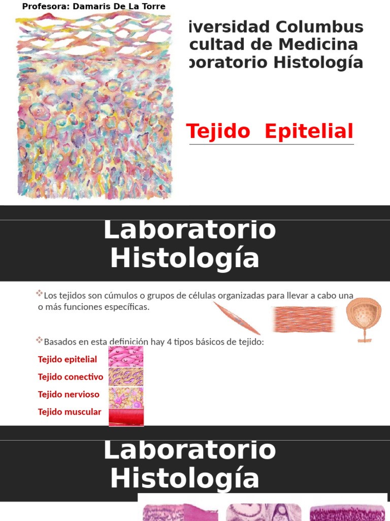 Tejidos Basicos-Epitelio | PDF | Epitelio | Tejido (biología)
