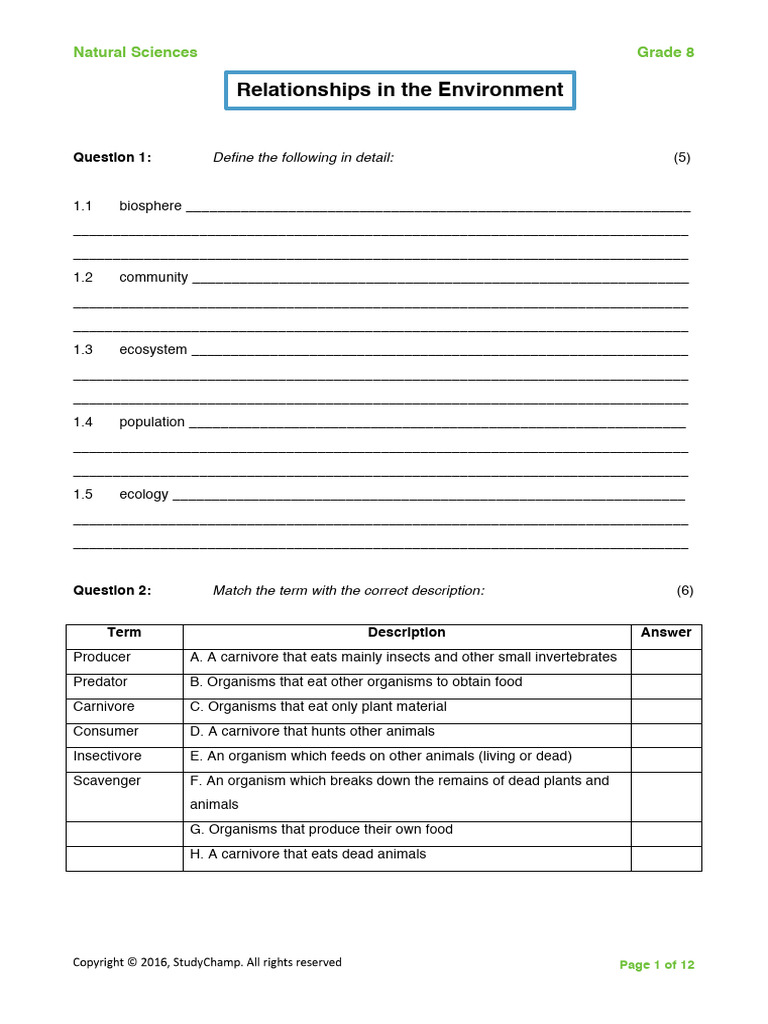 Gr8 NS Test 2 Environment Relationships A | PDF | Ivory | Herbivore