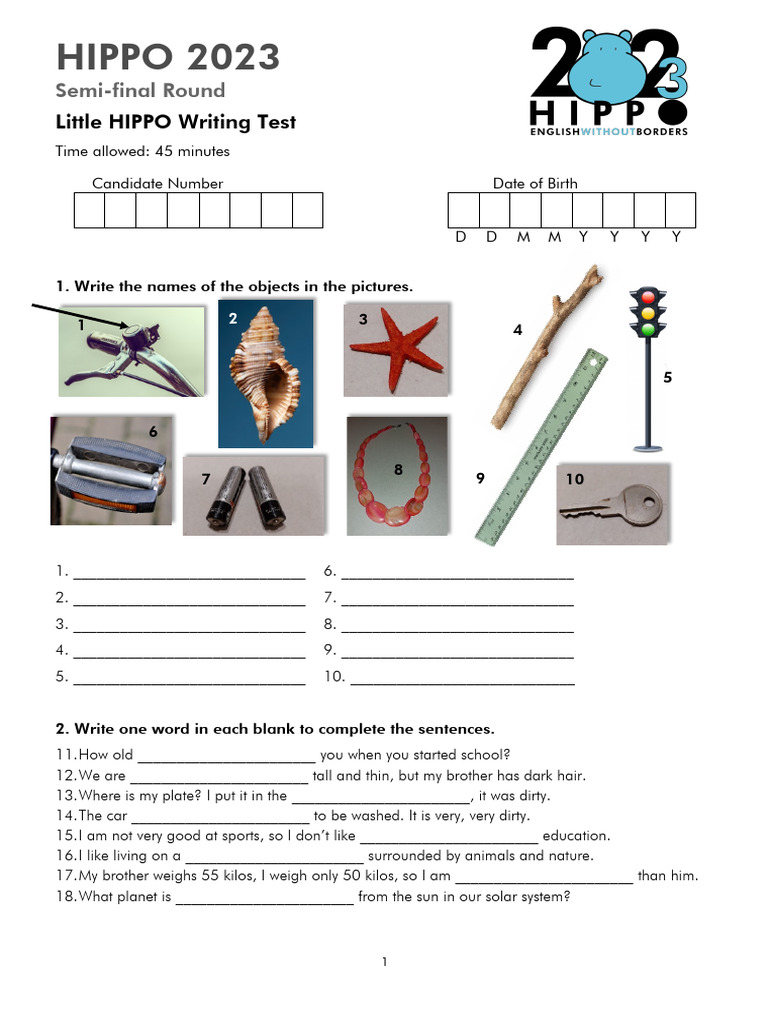 Little HIPPO Writing Test 2023 | PDF | Outer Space | Local Interstellar ...