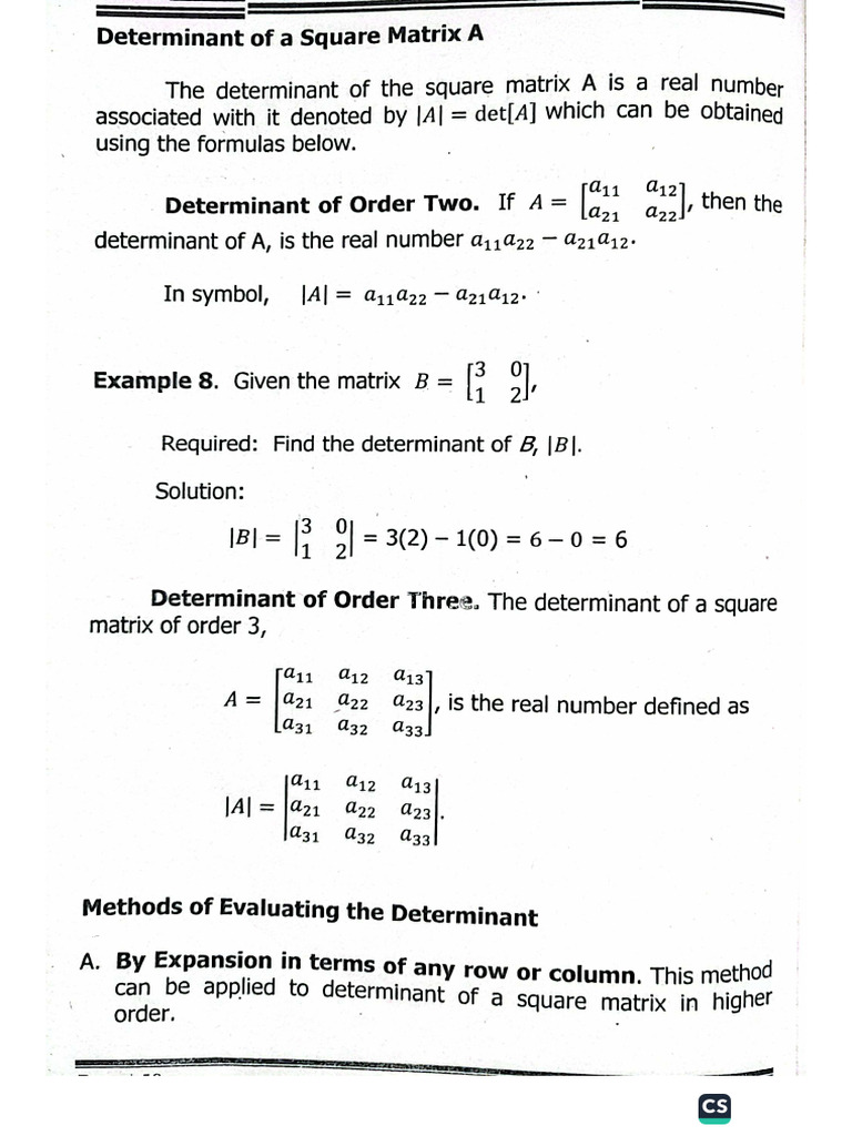 Determinants 1 | PDF