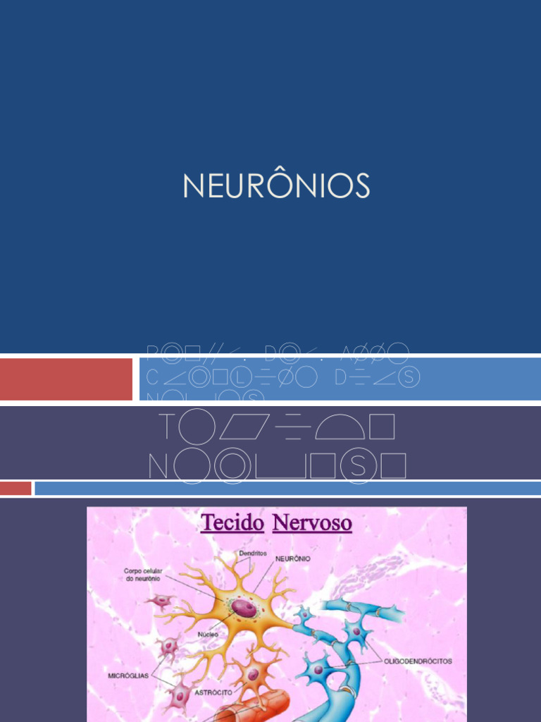 Aula 4 Neuronios | PDF | Neurônio | Neuroanatomia