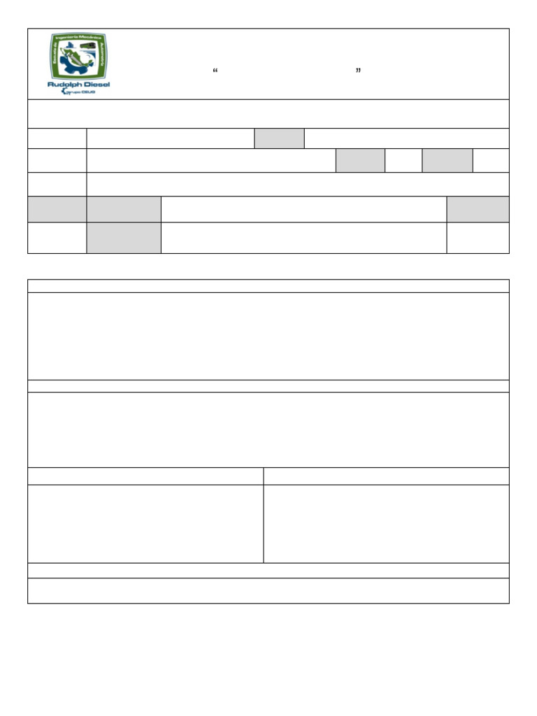 formato reporte | PDF