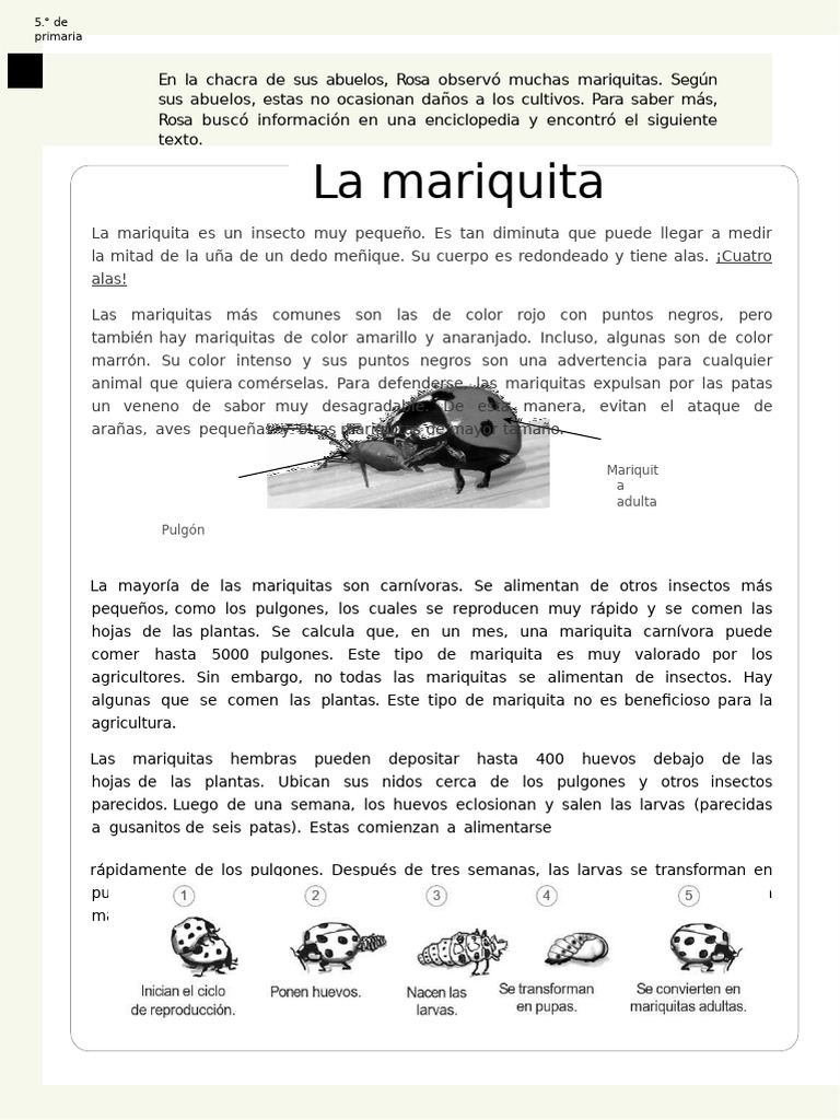 Prueba Diagnóstica Lectura, Comprensión de Textos Oralizados. 5 Grado ...