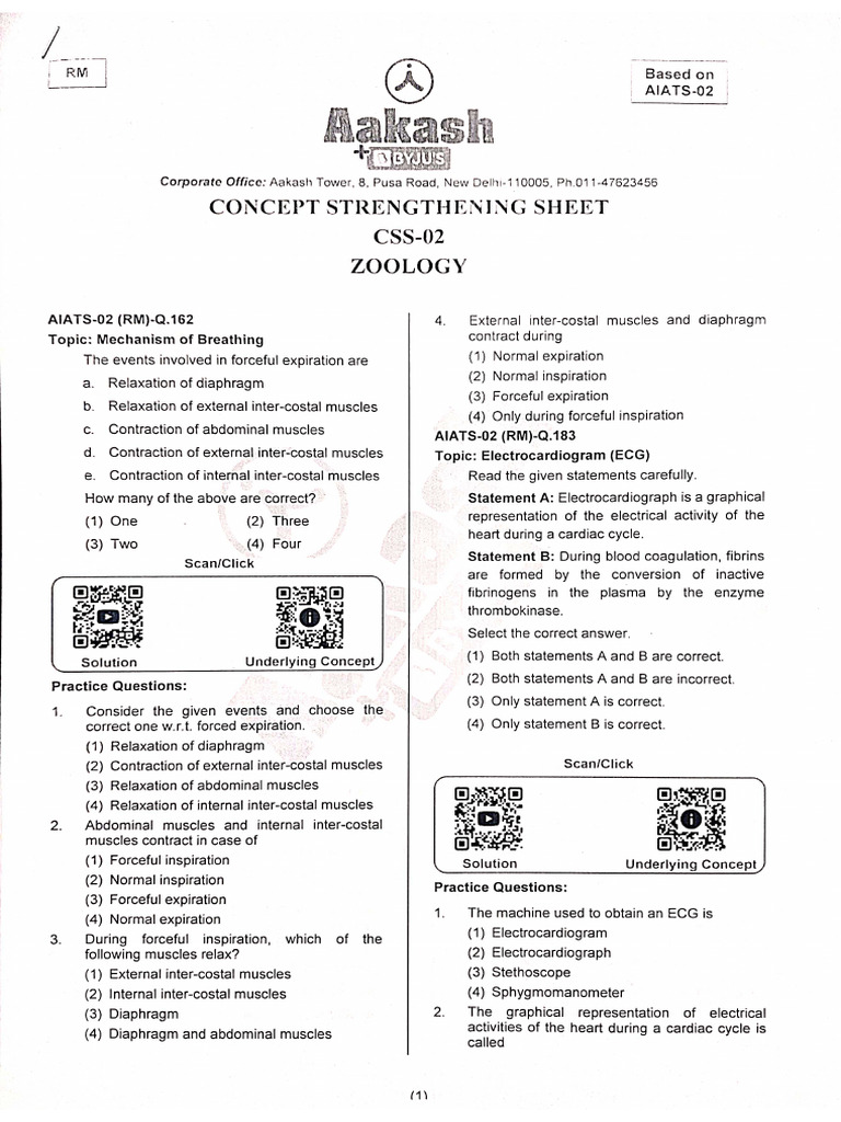 CSS for AIATS 2 | PDF