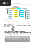 Form 2 Science Note | PDF | Solution | Digestion