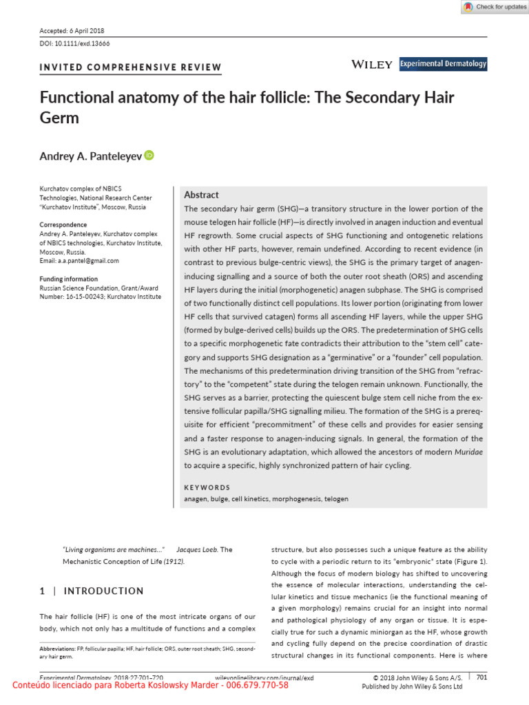 Functionalanatomyofthehairfollicle-TheSecondaryHairGerm | PDF | Gene ...