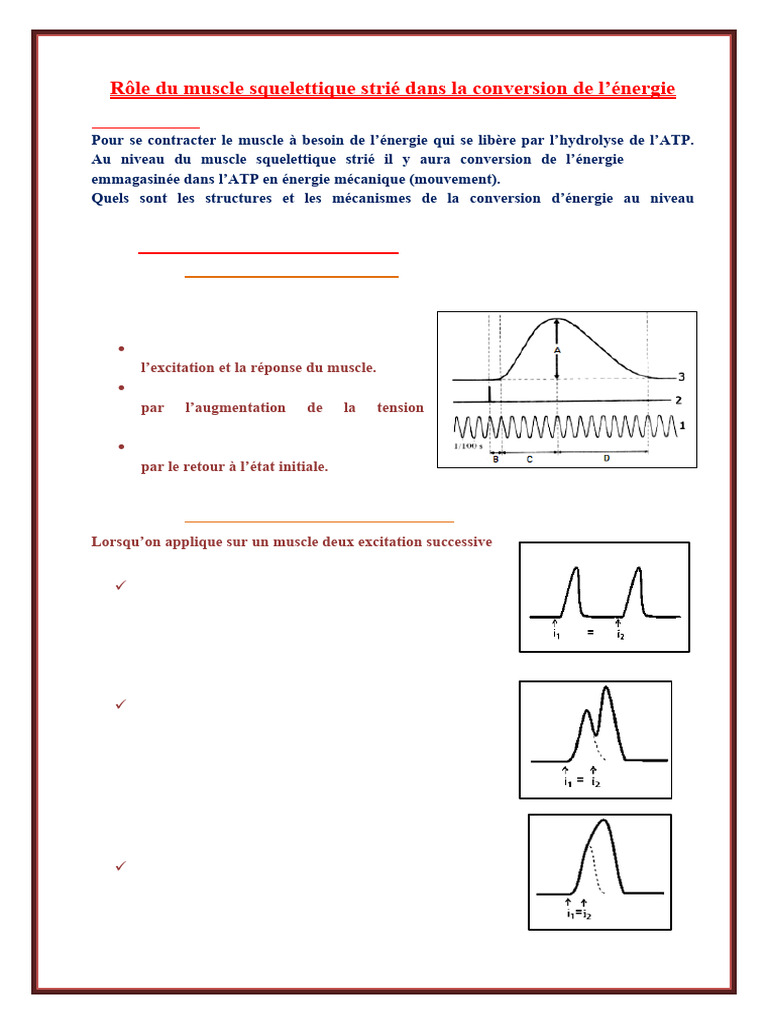 Conversion d'énergie et contraction musculaire | PDF | Contraction du ...