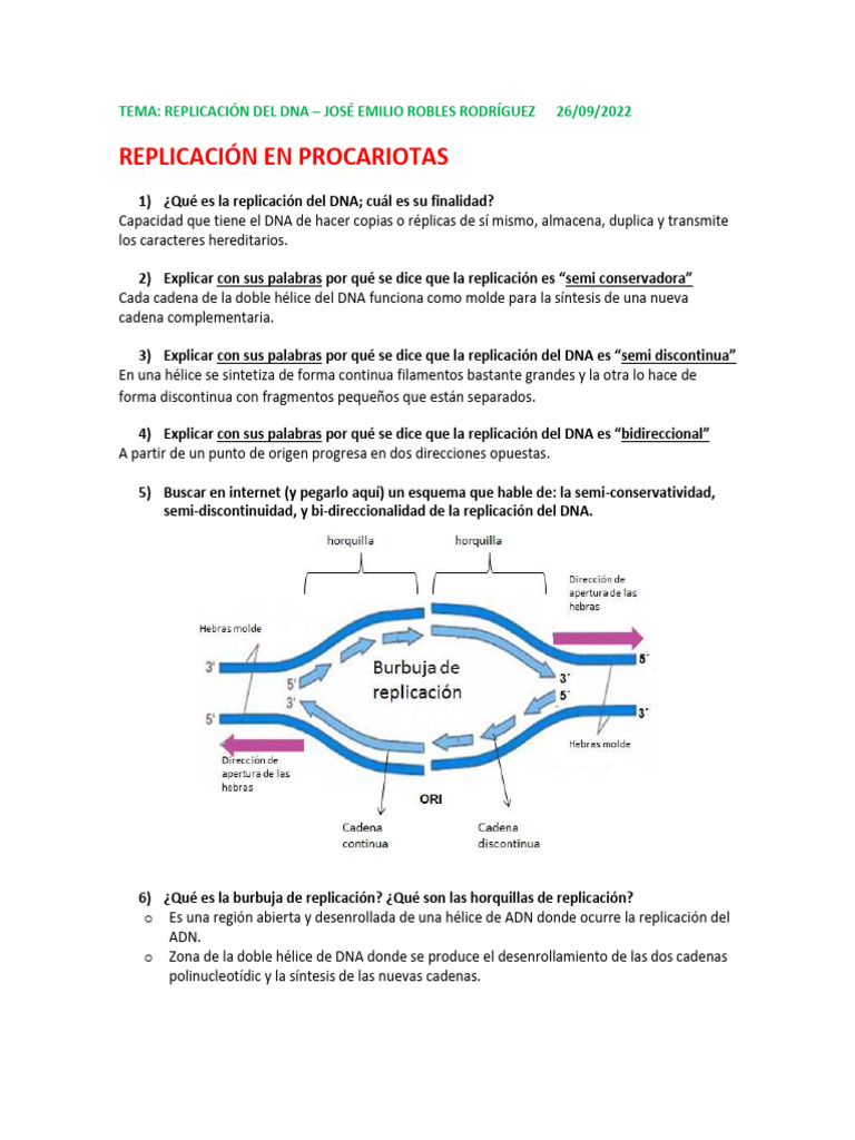 Replicación en Procariotas | PDF | Replicación De Adn | Adn