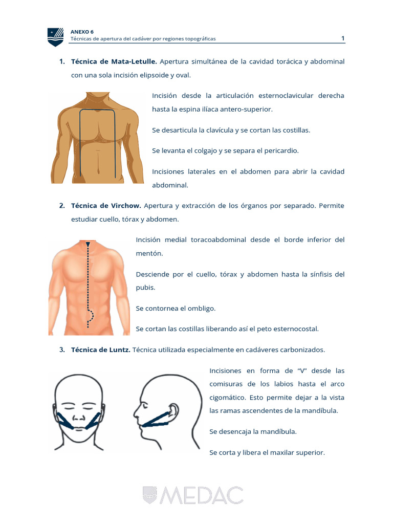 Anexo 6. NECRO | PDF