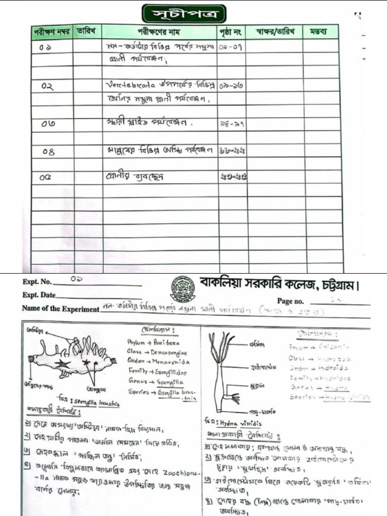 All Zoology Practical | PDF