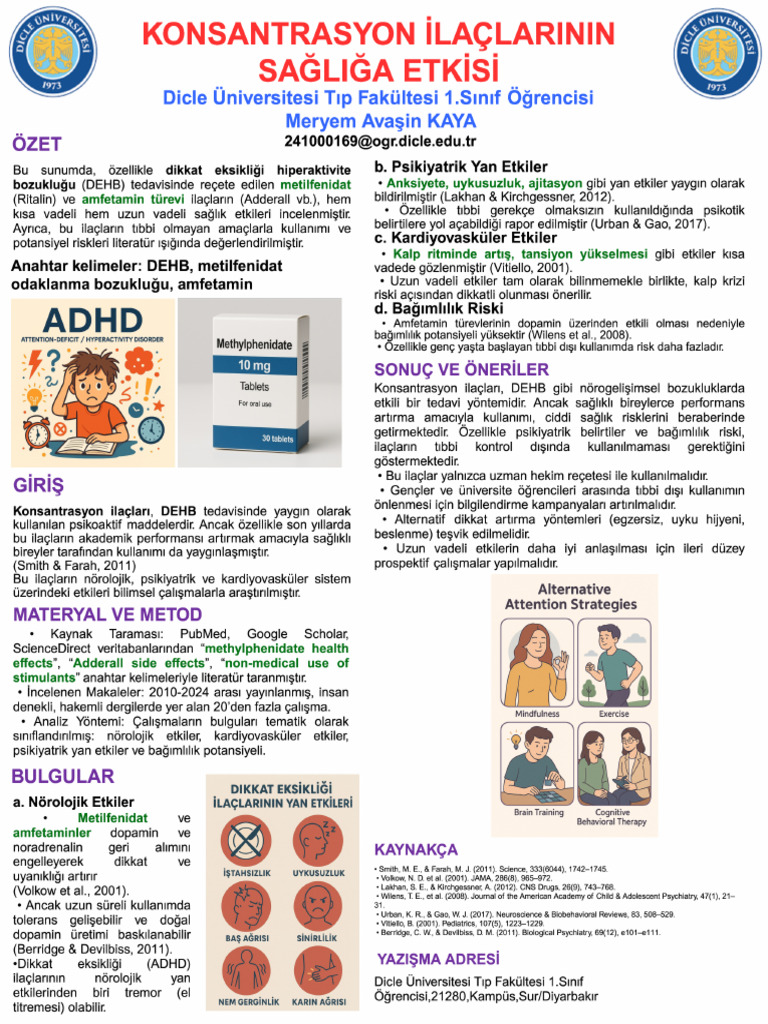 Poster Formati Mayis 2025 Odev | PDF