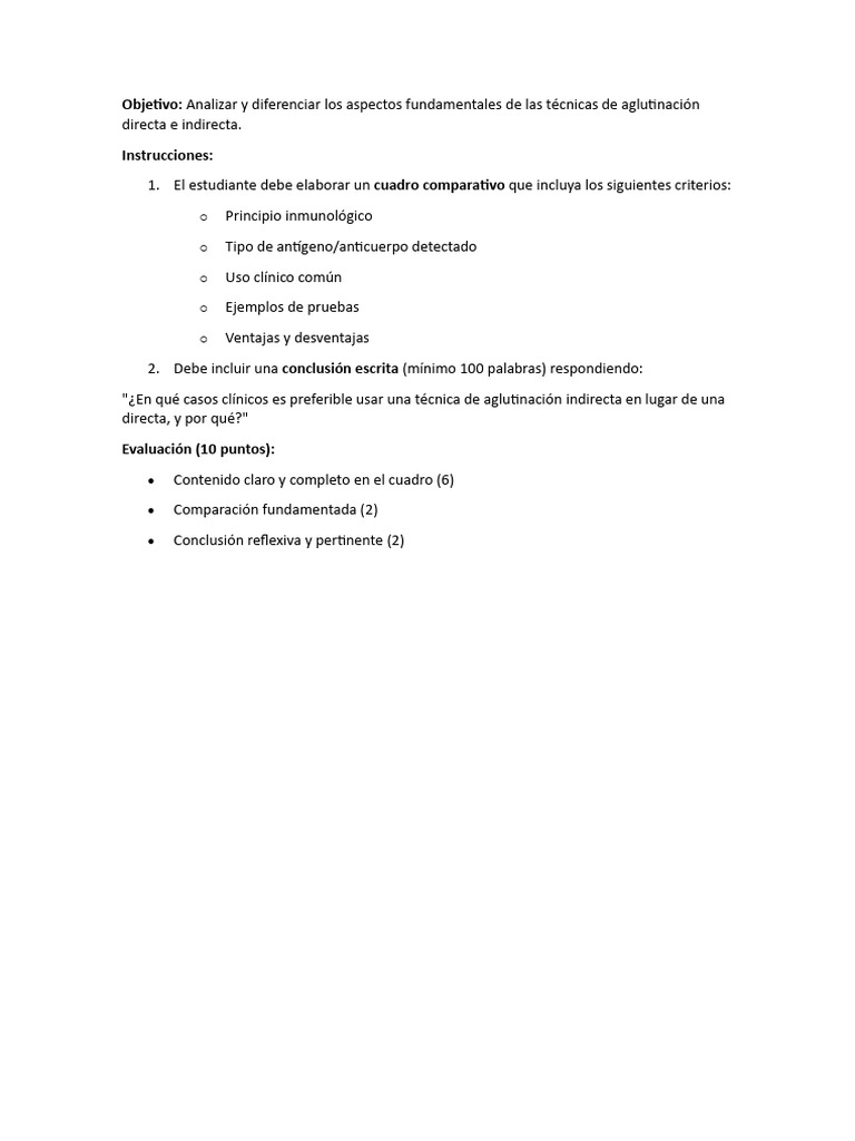 Rubrica e Instrucciones | PDF