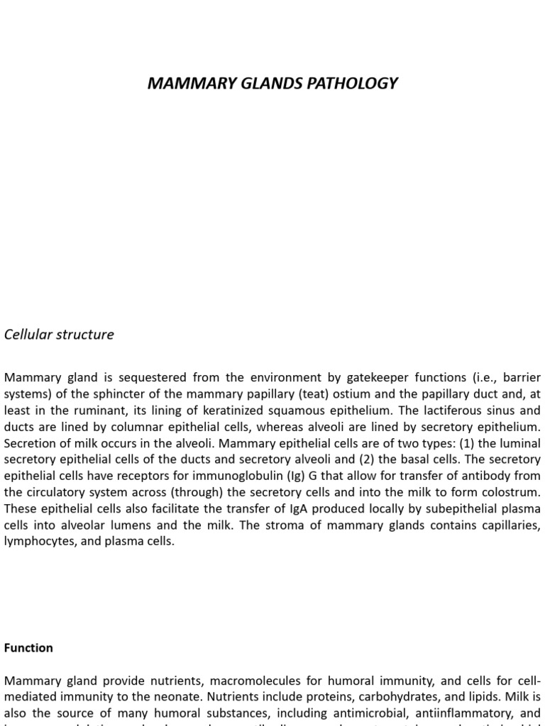 Mastitis Pathology in Mammary Glands | PDF | Epidermis | Skin