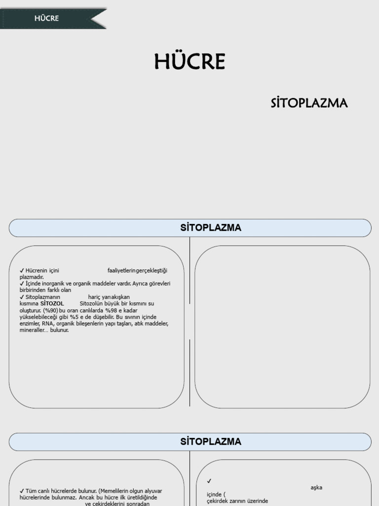 10- Sitoplazma | PDF