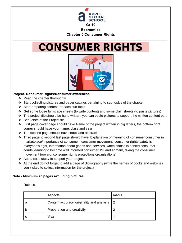 Gr10 (E) 2025-26 Project Consumer Rights | PDF