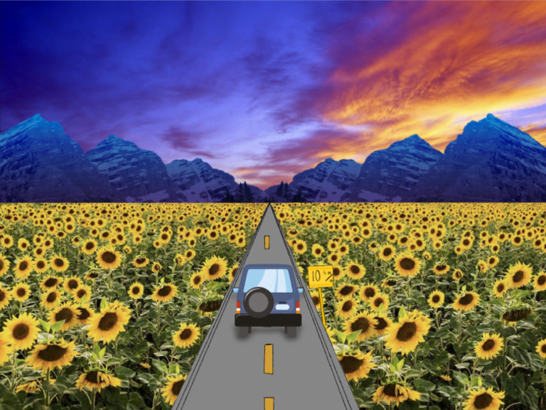 Driver's License | PDF
