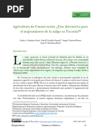 Sistema de Roza y Quema Maya | PDF | México | Agricultura