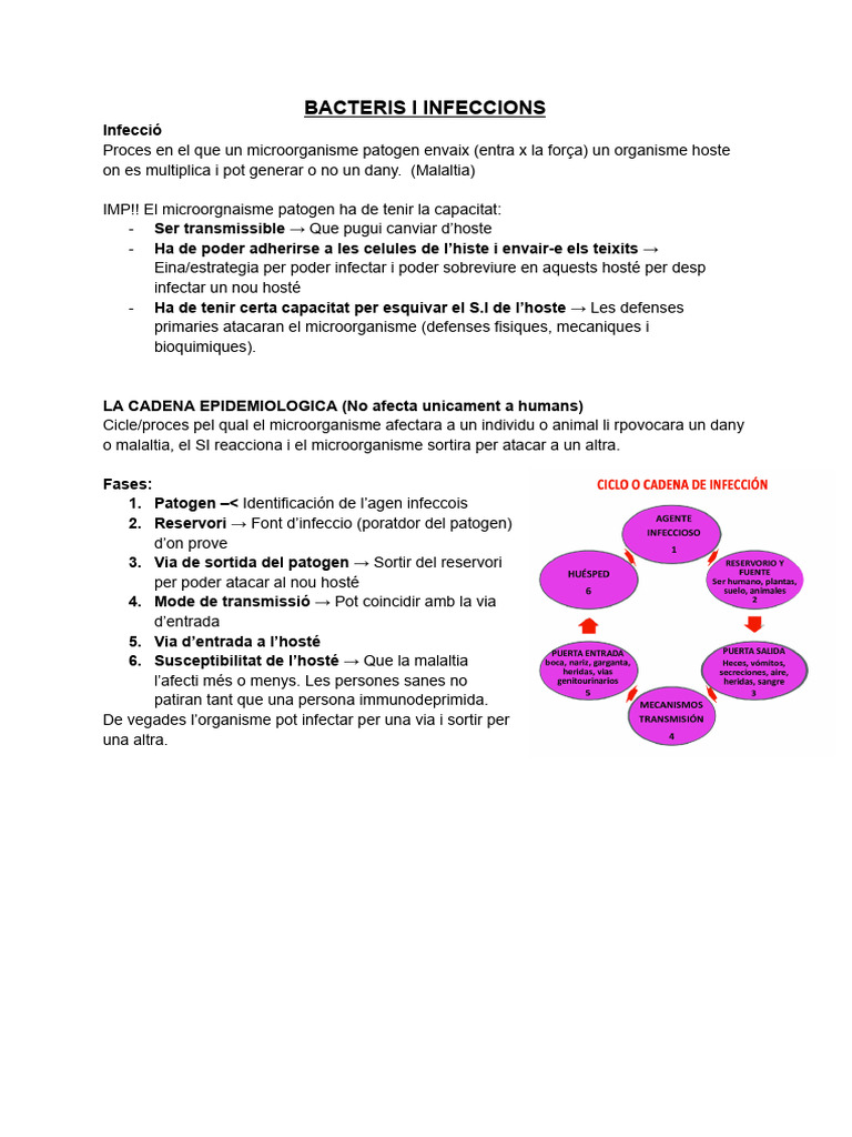 Bacteris I Infeccions | PDF