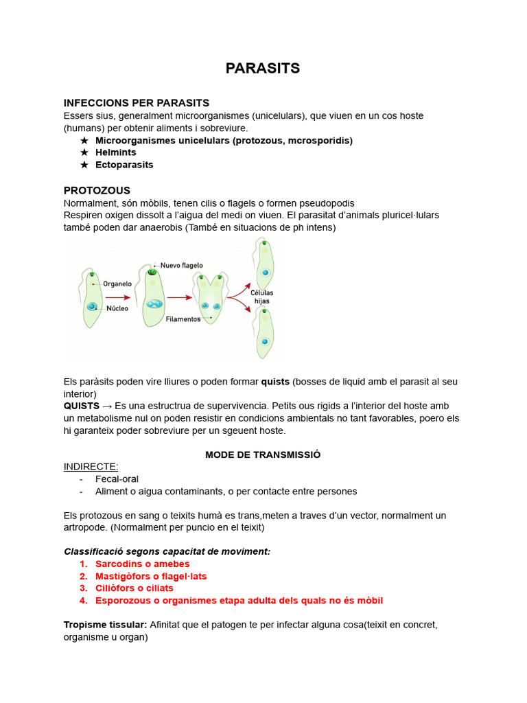 PARASITS - Fongs I Llevats - Virus | PDF