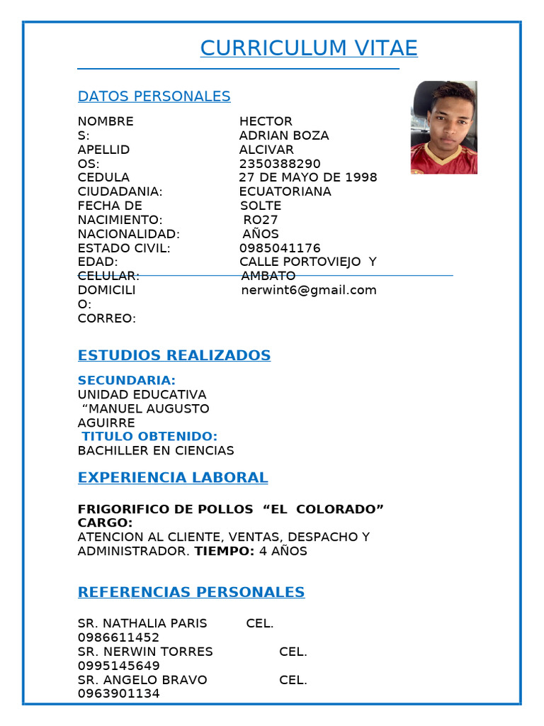 Curriculum Hector Boza | PDF