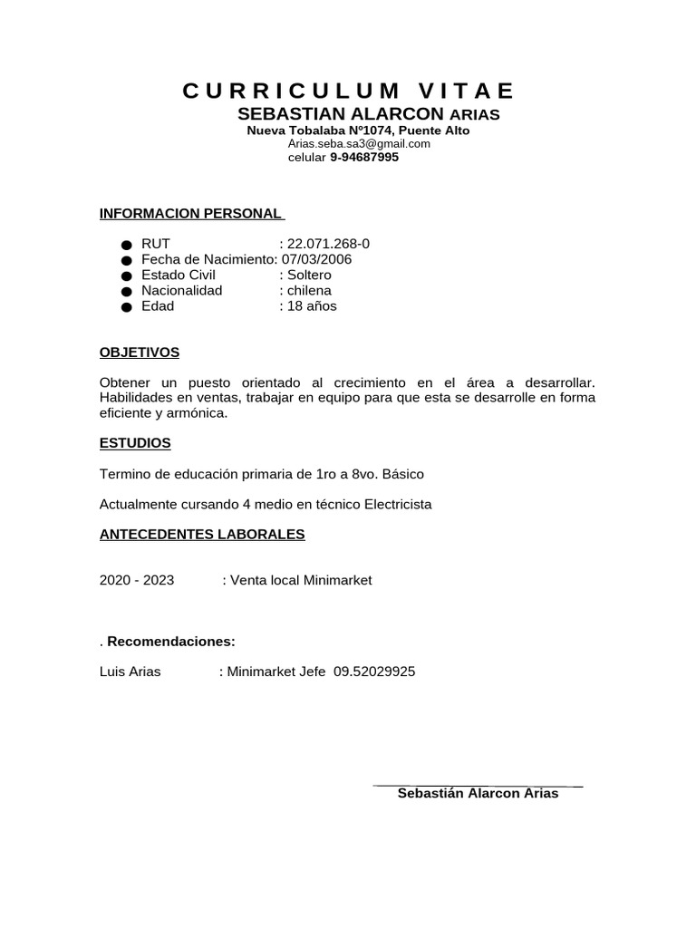 Curriculum Sebastian Alarcon | PDF