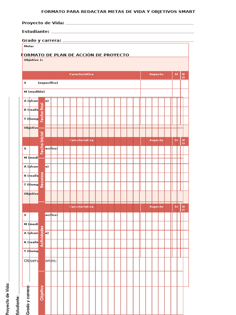 Formato para Redactar Metas de Vida y Objetivos Smart | PDF