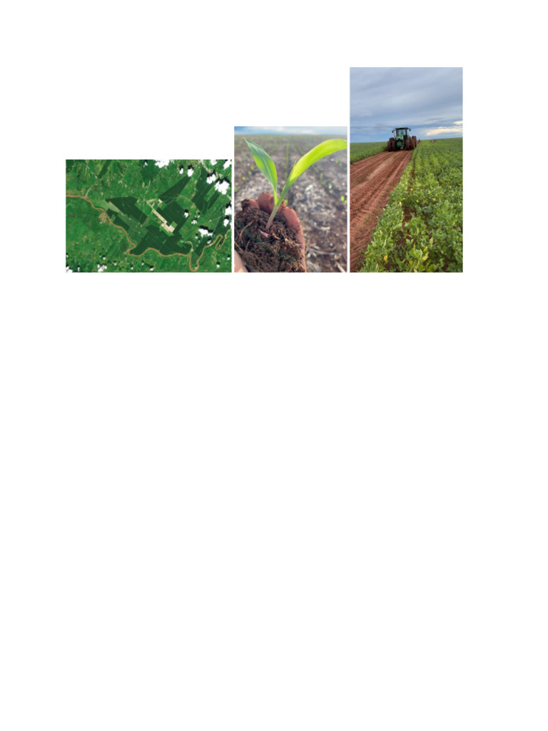 Rural | PDF