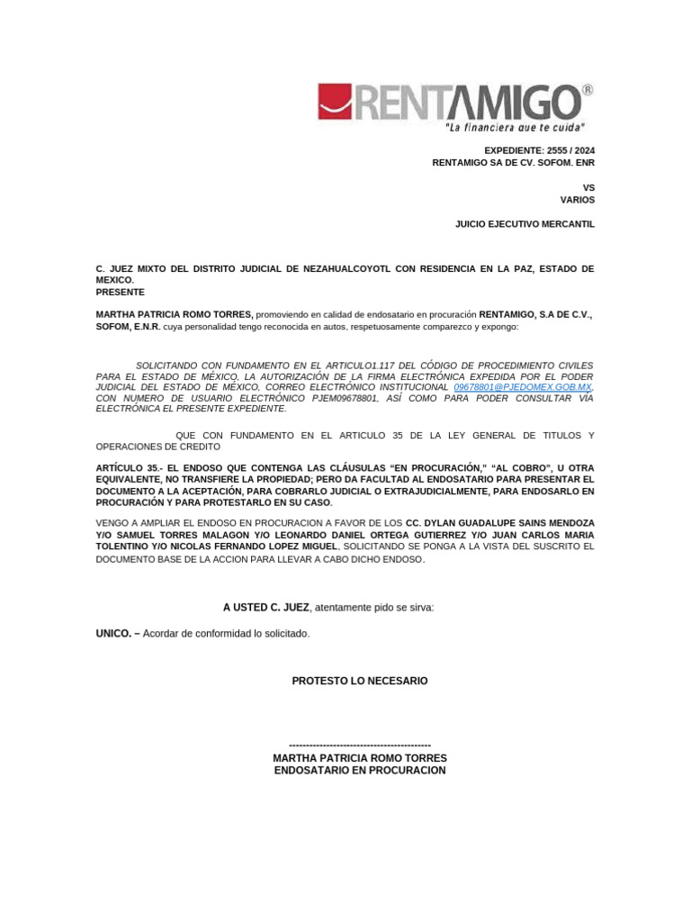 Ampliacion de Endoso Celine La Paz | PDF