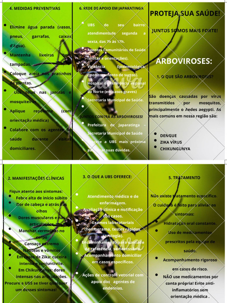 Folder Arboviroses - Compactado | PDF