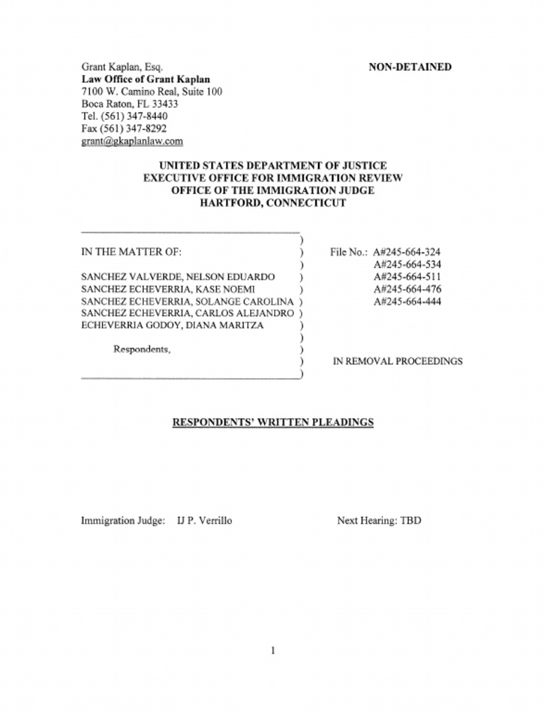 Written Pleadings | PDF