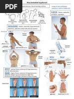 Normal Rom | PDF | Anatomical Terms Of Motion | Musculoskeletal System