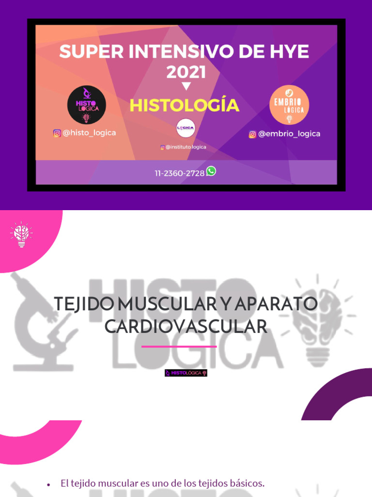 TP5 - Muscular y Cardiovascular | PDF | Músculo | Actina