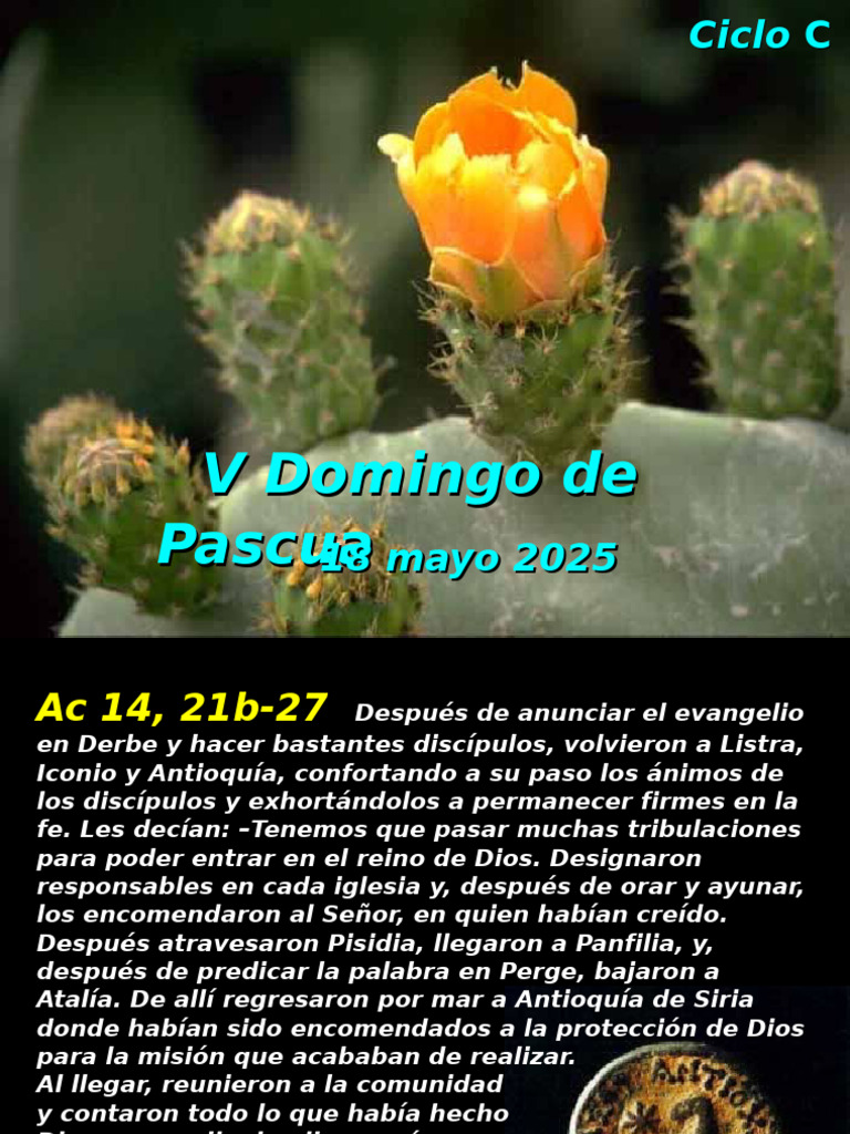 Lecturas 5 Domingo de Pascua C 2025 | PDF
