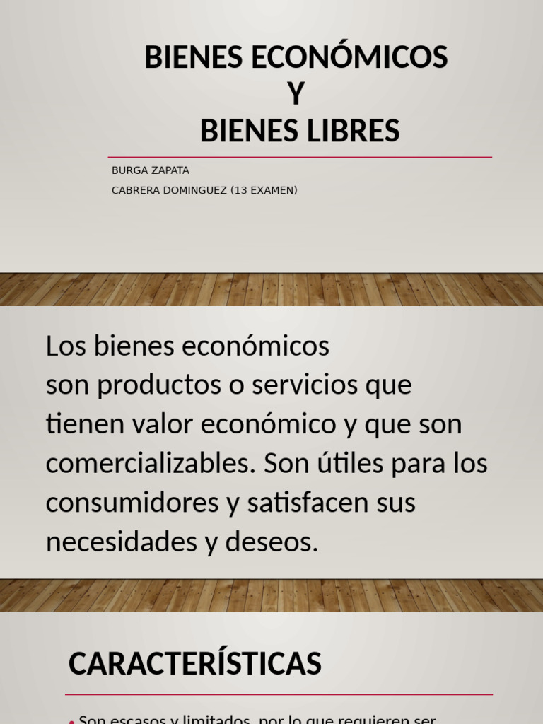 Bienes Económicos y Libres | PDF