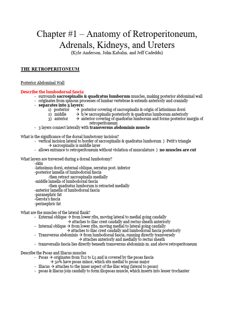 Chapter 001 - Surgical Anatomy of The Retroperitoneum, Adrenals ...