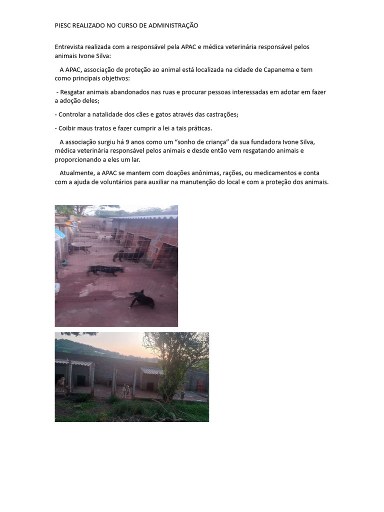 Microsoft Word - Plano de Negocios Apac MOD PDF | PDF