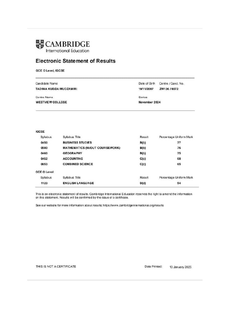 Document (1) - WPS Office | PDF