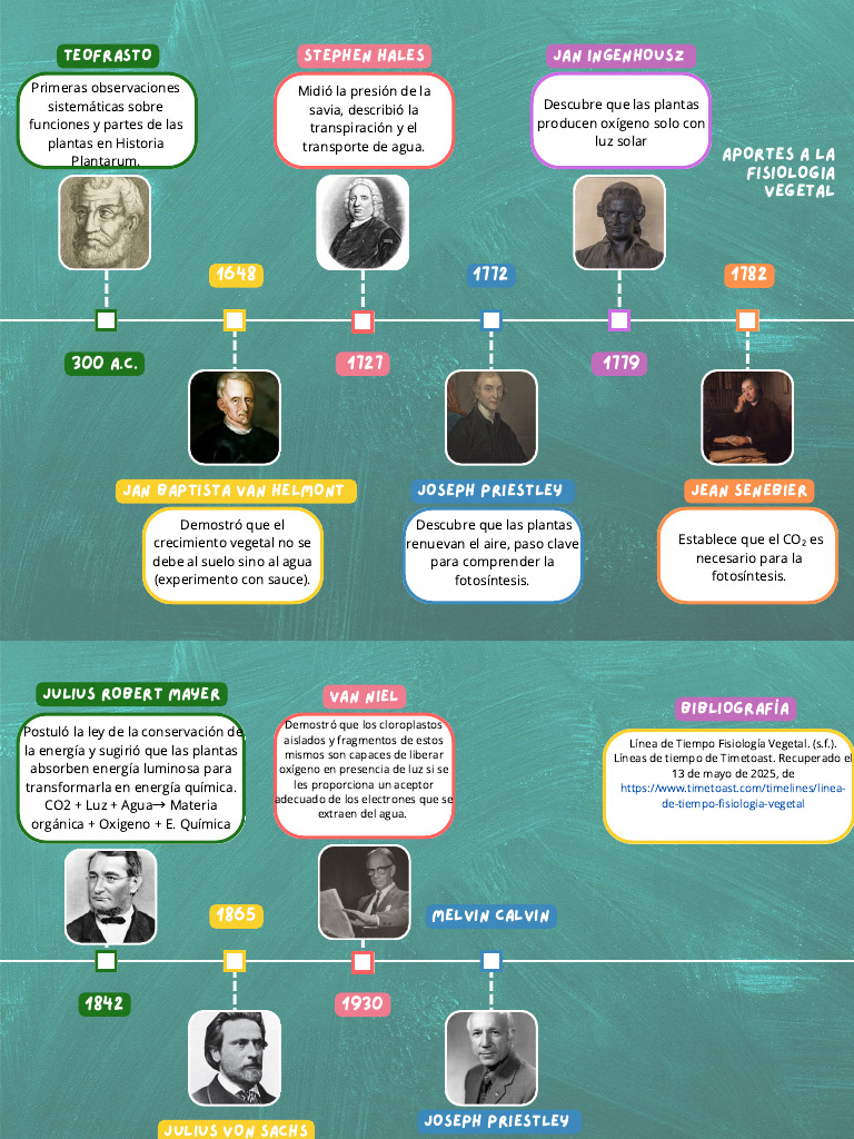Gráfico de Línea de Tiempo Timeline Doodle Multicolor | PDF ...