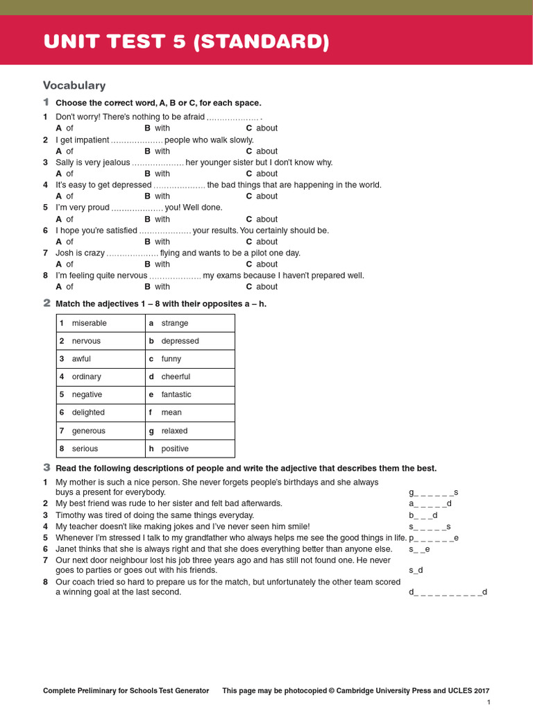 Unit 5 Standard Test Generator | PDF