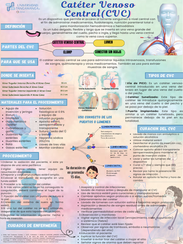 Infografía sobre Catéter Venoso Central | PDF | Especialidades Medicas ...