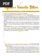 Anatomia do Fígado e Suas Estruturas | PDF | Fígado | Hepatócito